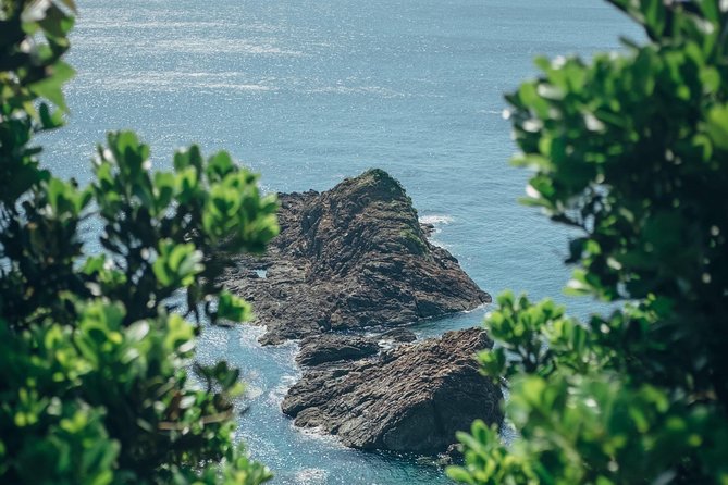 Kagoshima Private Customized Full Day Tour - Inclusions and Exclusions