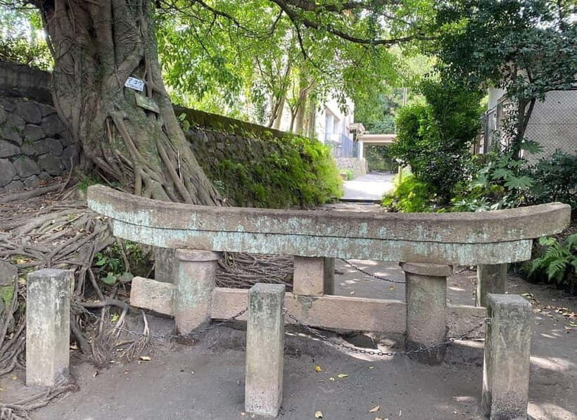 Kagoshima: Volcano, Coast & Hot Springs Guided Tour - Authentic Experiences and Traveler Insights