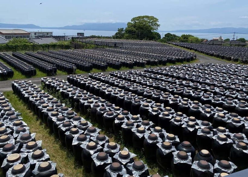 Kagoshima: Volcano & Nature Immersion Private Guided Tour - Introduction: Discovering Kagoshima’s Volcano and Culture