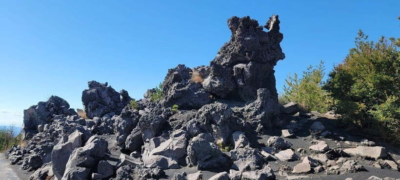 Kagoshima: Volcano & Nature Immersion Private Guided Tour - Frequently Asked Questions