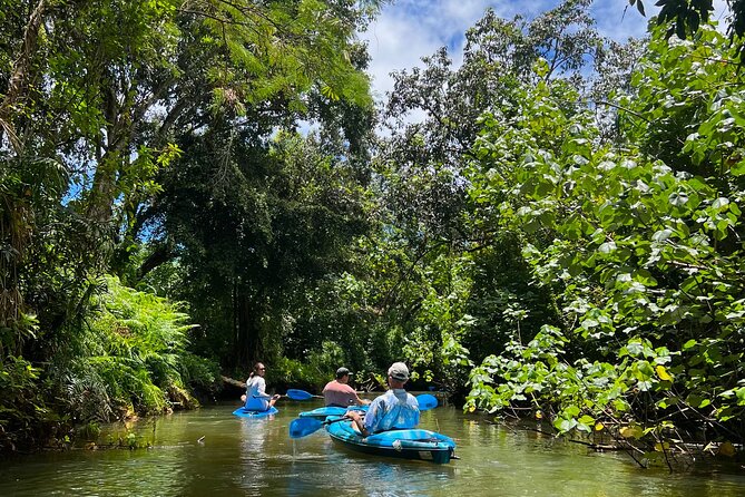 Kahana Bay River to Ocean: Kayak and Stand Up Paddle Board Rental - Guest Reviews and Feedback