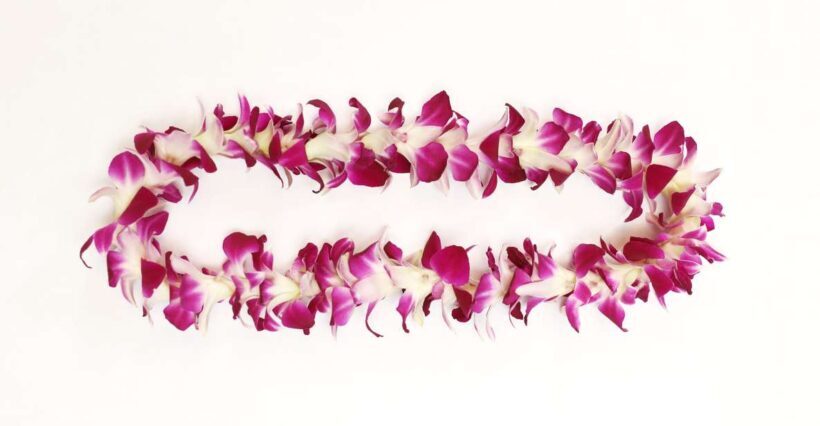 Kahului Airport: Maui Flower Lei Greeting Upon Arrival - Practical Details