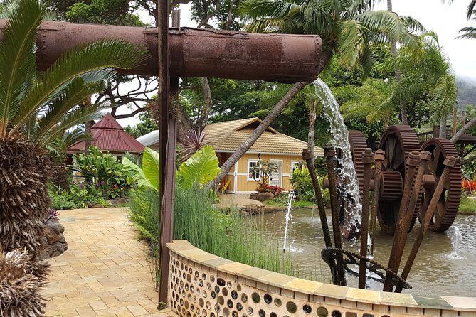 Kahului Shore Excursion: Private Tropics of Maui & Rainforest - Who Will Appreciate This Tour Most?