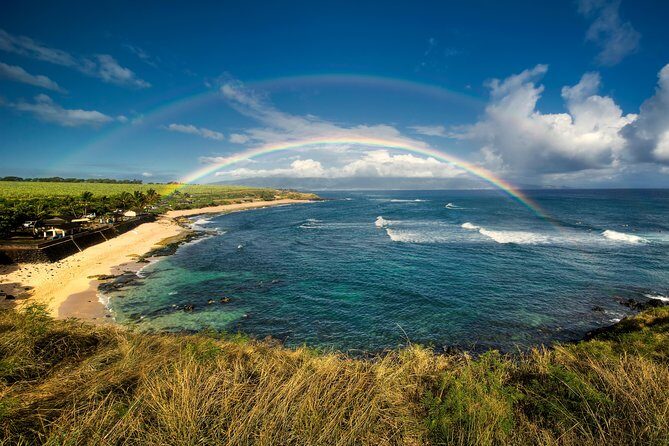 Kahului Shore Excursion: Private Tropics of Maui & Rainforest - FAQ