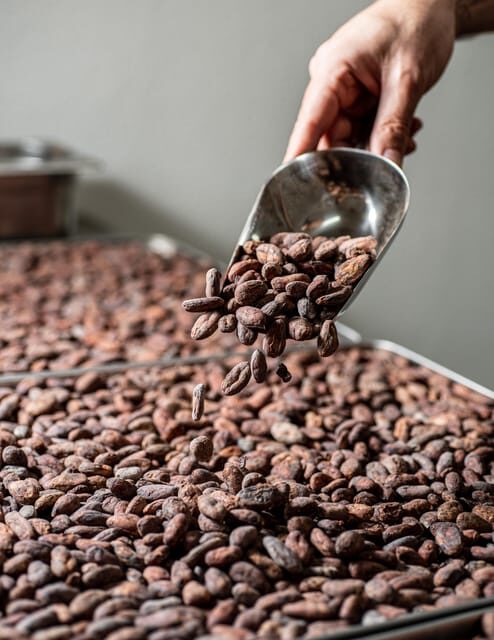 KAIACAO Bean to Bar and Design your own chocolate experience - Key Points
