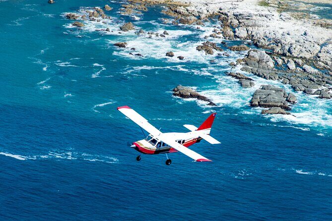 Kaikoura: Coastal and Alpine Scenic Airplane Flight - What to Expect from the Itinerary