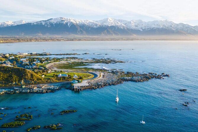 Kaikoura Day Tour From Christchurch - What This Tour Means for You