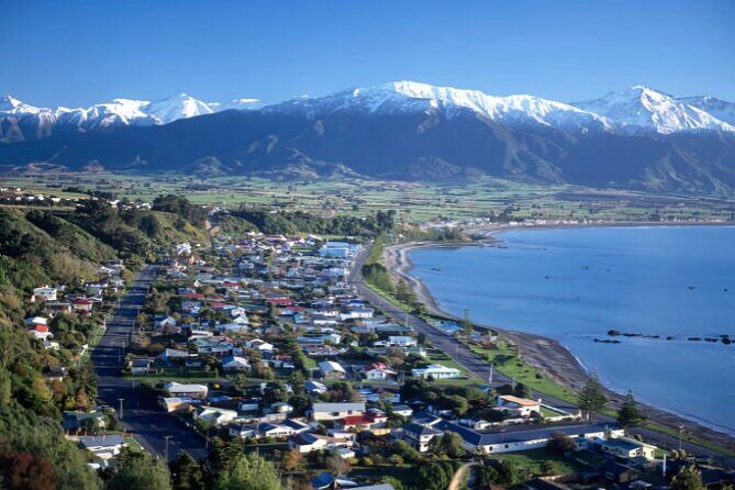 Kaikoura Day Tour From Christchurch - FAQs