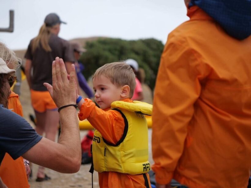 Kaikoura: Guided Family Kayaking Adventure - The Value of the Tour