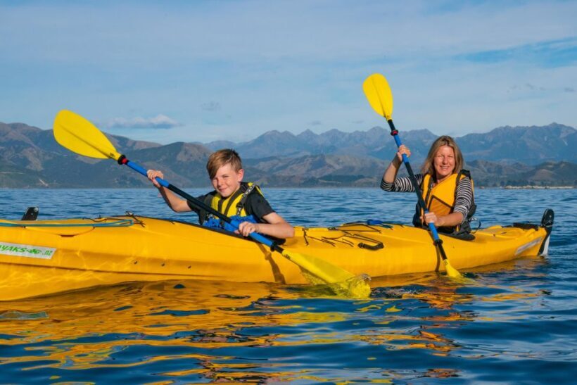 Kaikoura: Guided Family Kayaking Adventure - The Sum Up