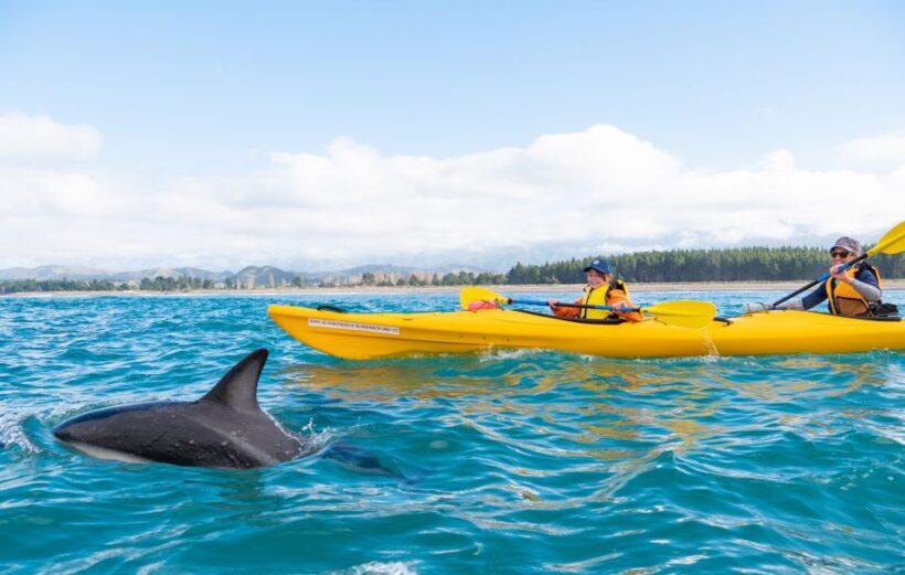 Kaikoura: Guided Family Kayaking Adventure - FAQ