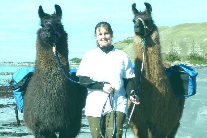 Kaikoura Helicopters ATV Adventure - Who Will Love This Tour?