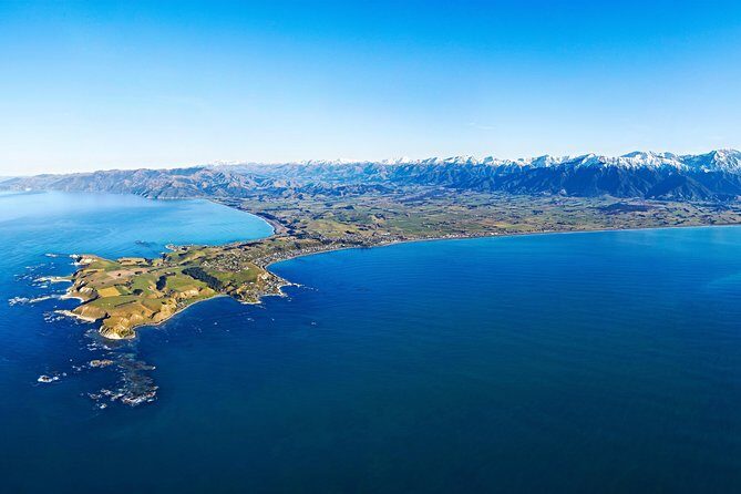 Kaikoura Helicopters Classic Whale Watch - Price and Value: Is It Worth It?