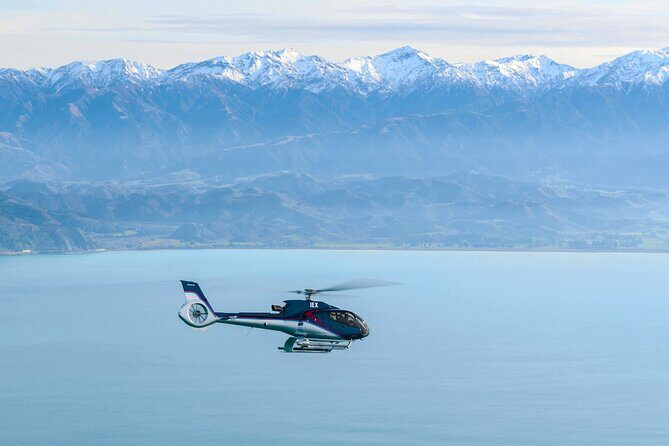 Kaikoura Helicopters Extended Whale Watch flight - FAQ