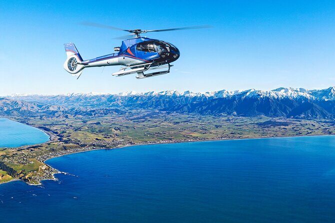 Kaikoura Helicopters Top n Tail Whale Watch flight - The Value Proposition