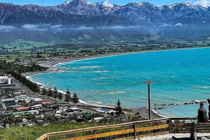 Kaikoura Private Whale Watching Day Trip from Christchurch - The Sum Up