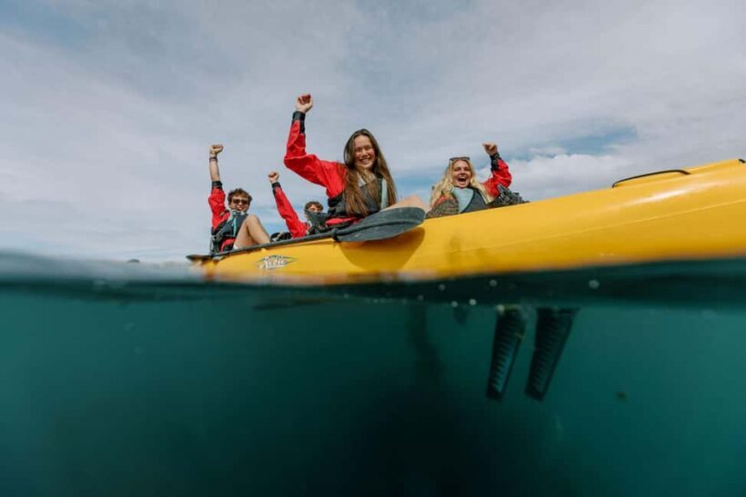 Kaikoura: Seal-Watching Pedal Kayak Tour - Key Points