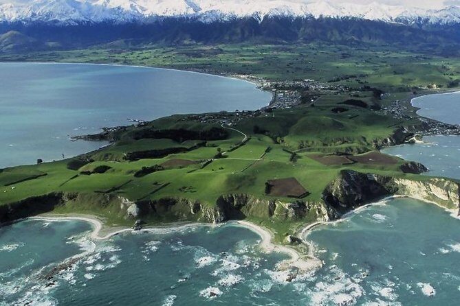 Kaikoura Swim with Dolphins Tour from Christchurch - An Overview of the Experience