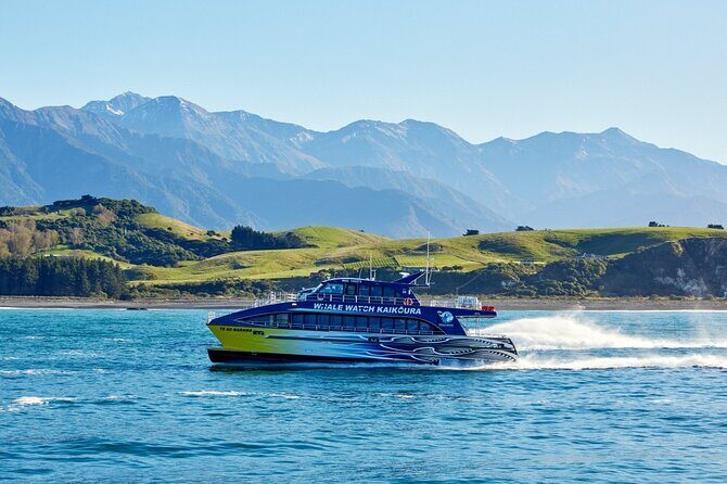 Kaikoura Whale Watch Day Tour from Christchurch - Key Points