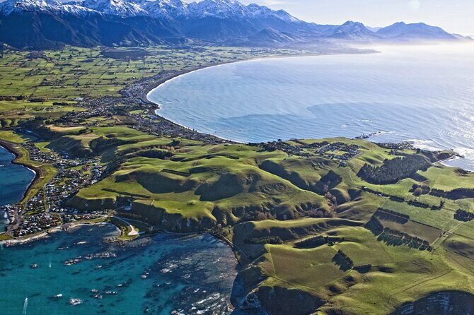 Kaikoura Whale Watch Day Tour from Christchurch - FAQs