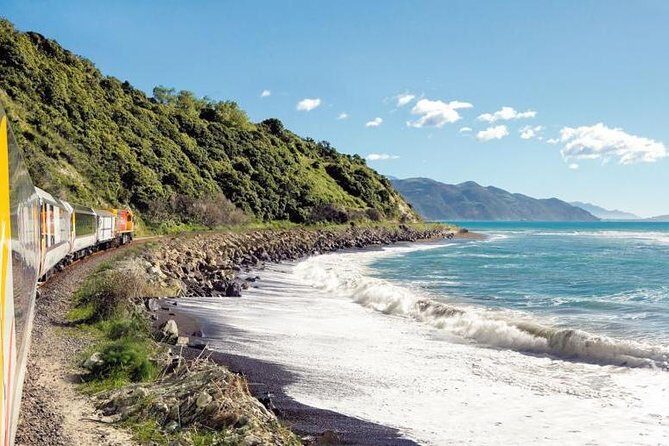 Kaikoura Whale Watch Day Tour from Christchurch including Coastal Pacific Train - A Day in Kaikoura, Step-by-Step