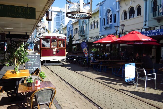 Kaikoura Whale Watch Day Tour from Christchurch including Coastal Pacific Train - Final Thoughts