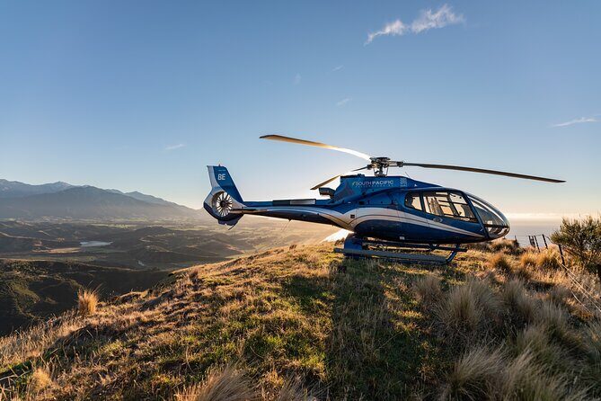 Kaikoura Whale Watching - 45 Minute Ocean Safari - Authentic Experiences from Travelers