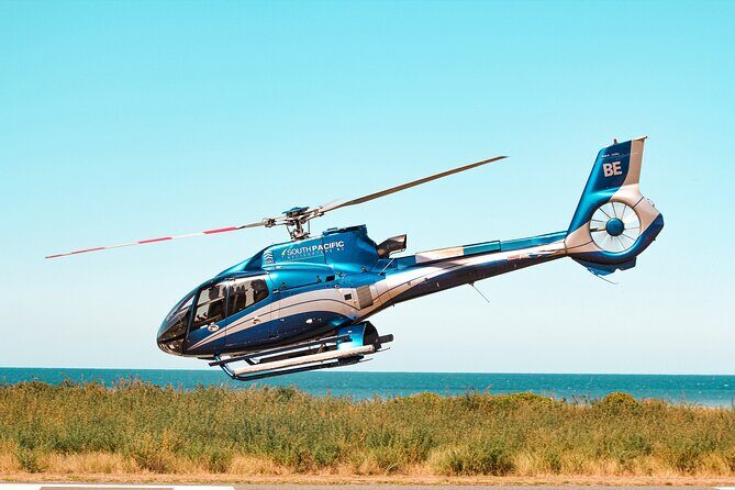 Kaikoura Whale Watching - 45 Minute Ocean Safari - Frequently Asked Questions