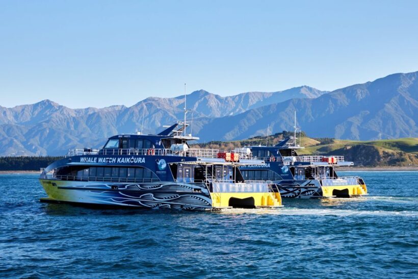 Kaikoura: Whale Watching Cruise - Key Points