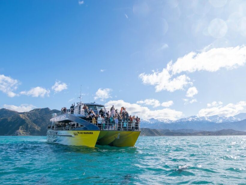 Kaikoura: Whale Watching Cruise - An In-Depth Look at the Kaikoura Whale Watching Cruise