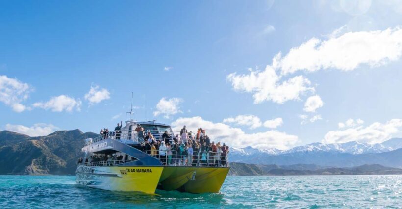 Kaikoura: Whale Watching Cruise - Who Should Consider This Tour?