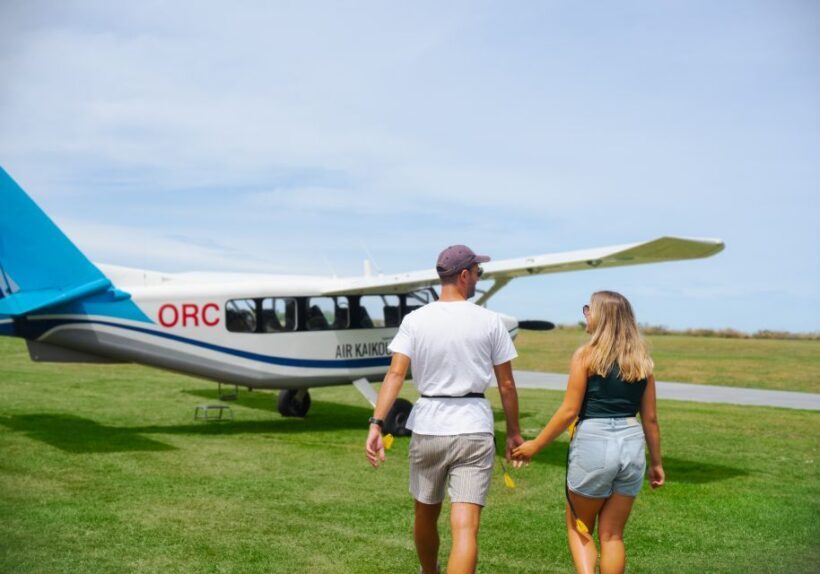 Kaikoura: Whale Watching Flight with Commentary - The Experience at a Glance