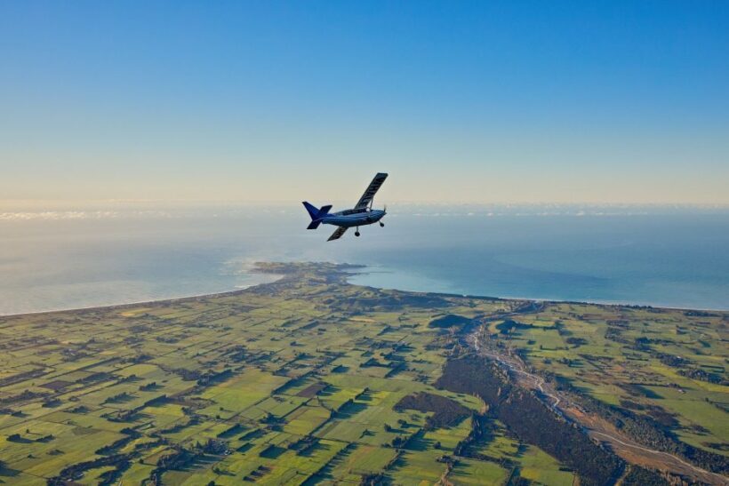 Kaikoura: Whale Watching Flight with Guided Commentary - Value and Comfort