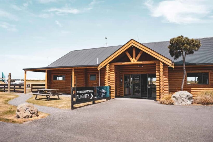 Kaikoura: Whale Watching Flight with Guided Commentary - Who Will Love This Tour?