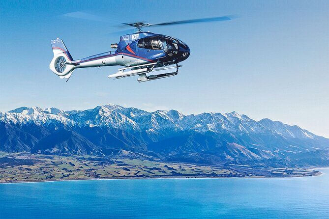 Kaikoura Whales - Introduction: What This Tour Offers