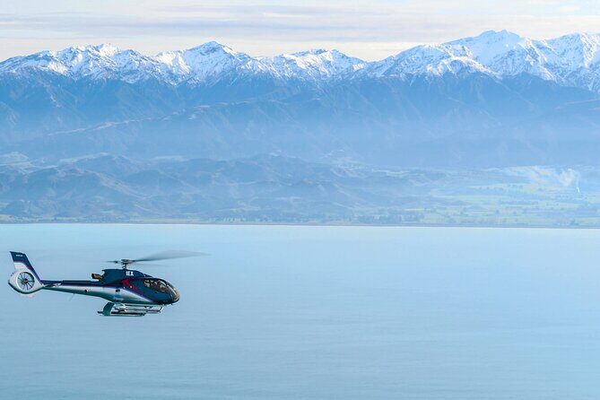 Kaikoura Whales - Frequently Asked Questions