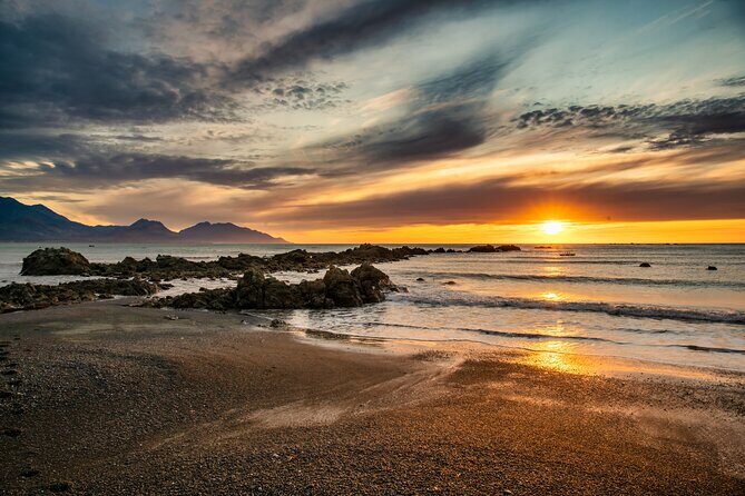 Kaikura Day Tour From Christchurch (Small Group, Carbon Neutral) - Who Would Love This Tour?