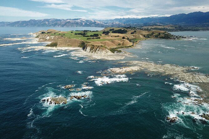 Kaikura Day Tour From Christchurch With Whale Watch - The Journey Begins: Christchurch to Kaikoura