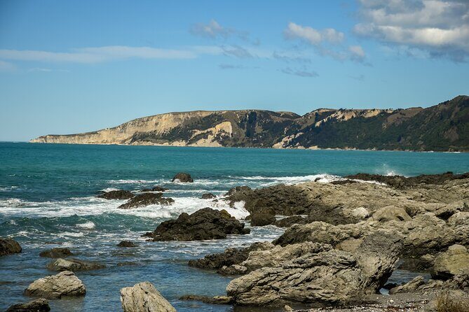 Kaikura Day Tour From Christchurch With Whale Watch - Scenic Stops and Optional Wine Tasting