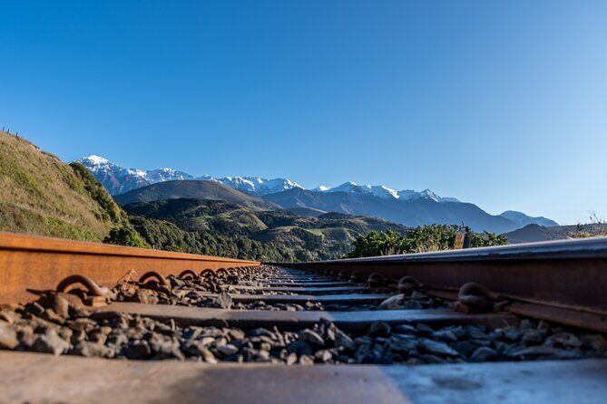 Kaikura Day Tour From Christchurch With Whale Watch - What We Liked and What to Consider