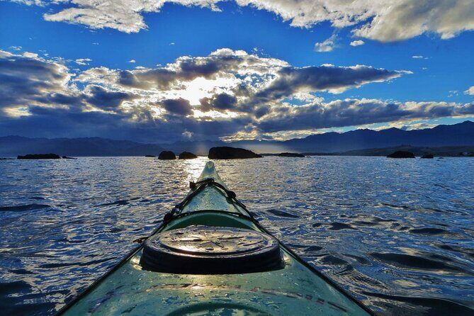 Kaikura Day Tour With Kayak Experience From Christchurch - Who is this tour best for?