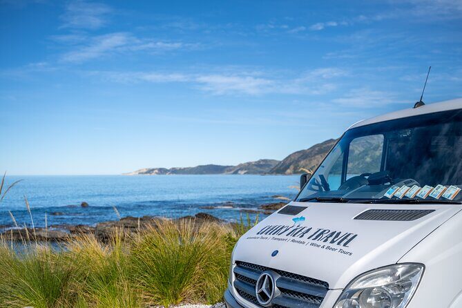 Kaikura Day Tour With Kayak Experience From Christchurch - Returning to Christchurch