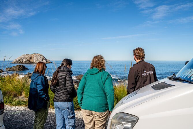 Kaikura Day Tour With Kayak Experience From Christchurch - Analyzing the Value