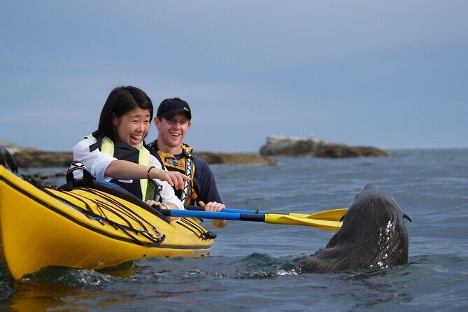 Kaikura Day Tour With Kayak Experience From Christchurch - Final Thoughts