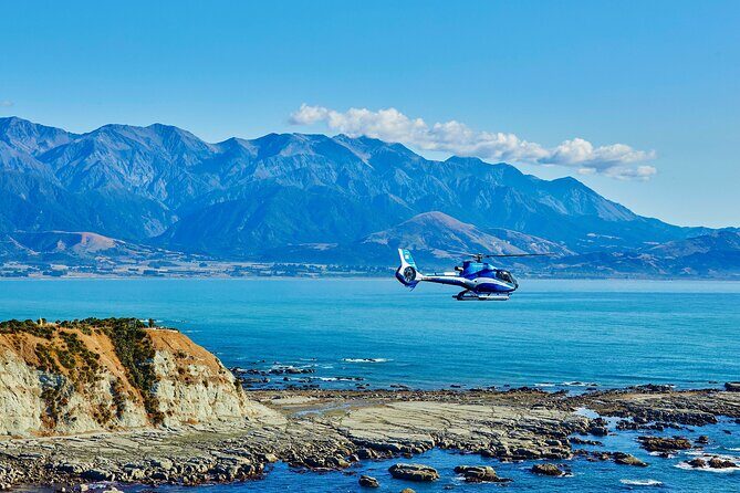 Kaikura Whale Watching - 1hr 20min Ultimate Adventure - Key Points