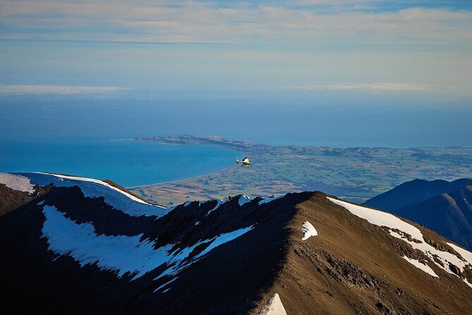 Kaikura Whale Watching and Scenic Landing - 1hr Premier Tour - An In-Depth Look at the Tour Experience