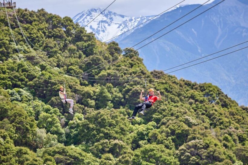 Kaikura: Zipline and Native Forest Adventure Trip - Safety and Practicalities
