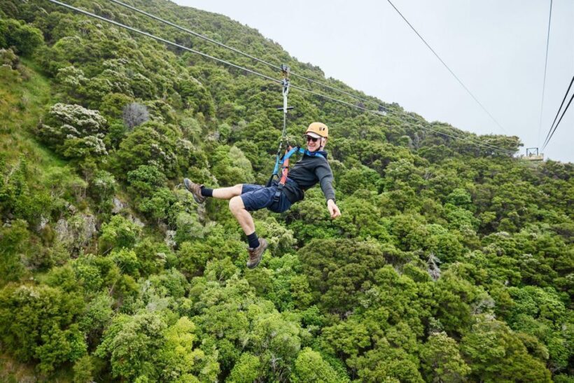 Kaikura: Zipline and Native Forest Adventure Trip - Who Is This Tour For?