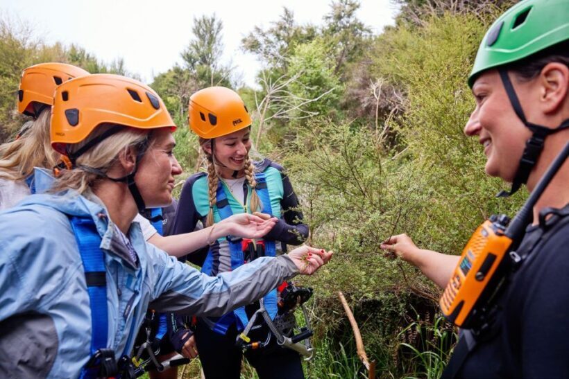 Kaikura: Zipline and Native Forest Adventure Trip - FAQs