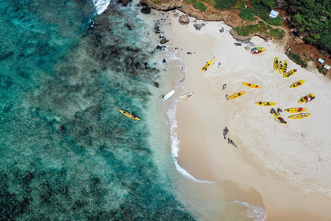 Kailua Bay, Oahu: Epic Kayak Adventure with Beachside Lunch - Authentic Traveler Insights